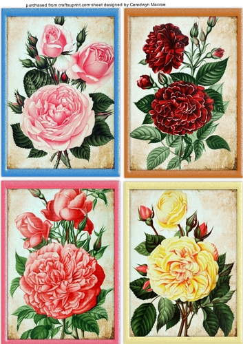 4 Beautiful Roses notelets 2, - CUP755067_1398 | Craftsuprint