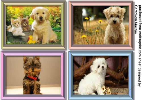 Lovely Set of 4 Cute Dog Notelets - CUP755068_1398 | Craftsuprint