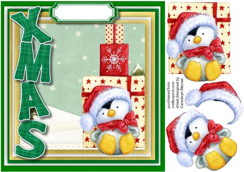 Penguin Presents - CUP807208_1398 | Craftsuprint