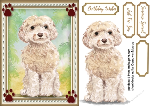Beautiful Champagne Cockapoo - CUP854191_1398 | Craftsuprint