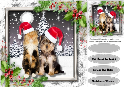 Christmas Furry Friends 1 - CUP904342_1398 | Craftsuprint