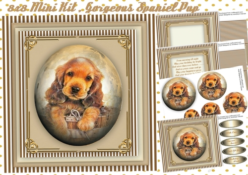 8x8 mini kit , Gorgeous Spaniel Pup , Pyramid - CUP933161_1398 ...