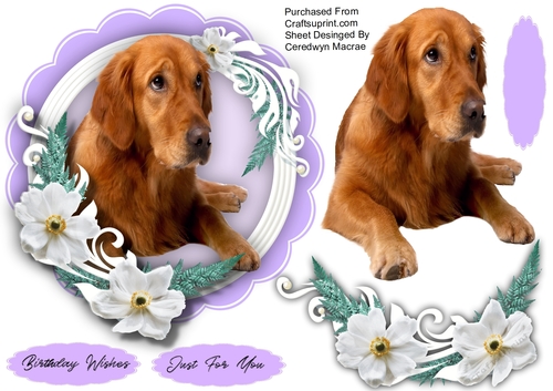 Beautiful Lab Topper - CUP974035_1398 | Craftsuprint