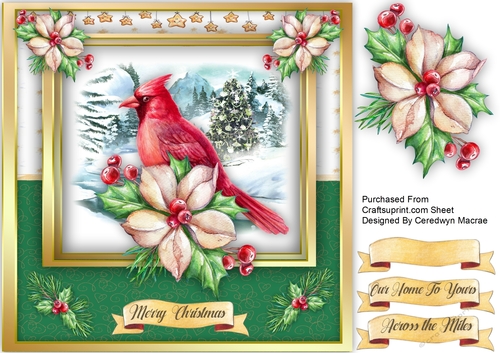 Beautiful Cardinal and Christmas Roses - CUP995136_1398 | Craftsuprint