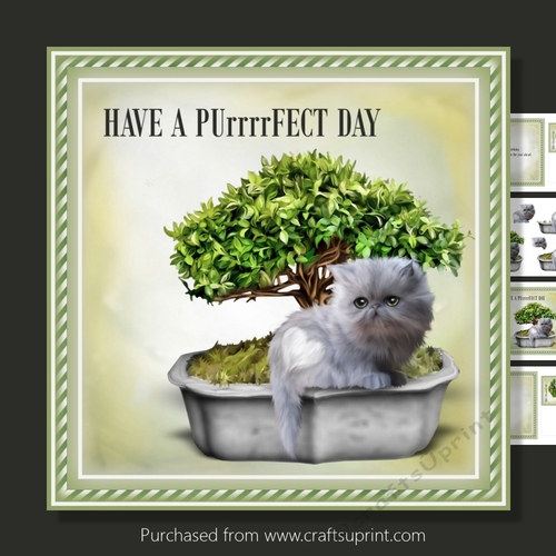 PUrrrFECT DAY - CUP1095452_566 | Craftsuprint