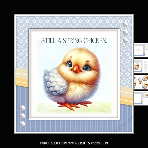 Spring Chicken - CUP1302318_566 | Craftsuprint