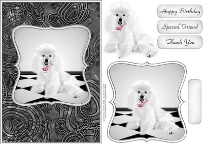 Poodle Quick Card - CUP146952_566 | Craftsuprint