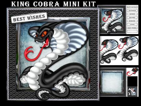 King Cobra Mini Kit - CUP669169_566 | Craftsuprint