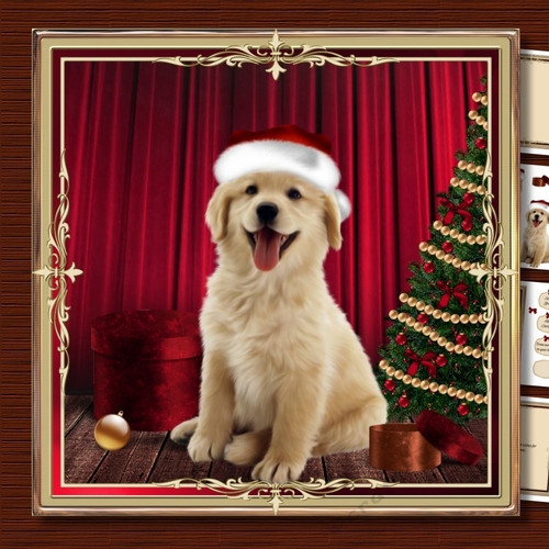 Christmas Labrador - CUP984556_566 | Craftsuprint