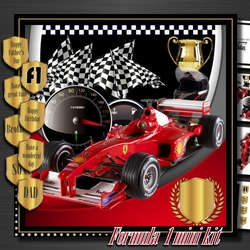 Formula 1 mini kit - Photo by Lorna Conduit cards