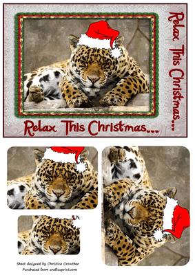 Big Cat Sleeping Leopard Relax This Christmas - CUP272004_994 ...