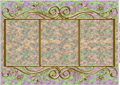 Gold Floral Triple Frame on Soft Multi-coloured Background - CUP391631 ...