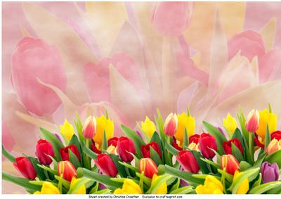 Real Tulip Border Backing Paper - CUP412641_994 | Craftsuprint