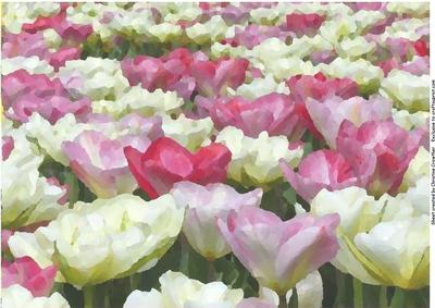 Painted Tulips Backing Paper - CUP443154_994 | Craftsuprint