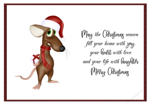 Little Christmas Mouse Insert With Verse - CUP1078518_2232 | Craftsuprint