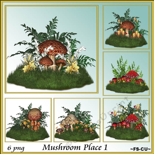 Mushroom Place 1 - CUP720941_2232 | Craftsuprint