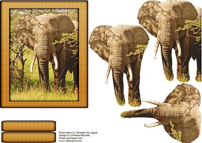 Wild Animal Series - Elephant - Decoupage - CUP314193_1620 | Craftsuprint