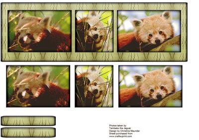 Red Panda Trio - CUP325708_1620 | Craftsuprint