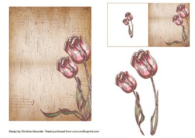 Vintage Tulips Backing Sheet - CUP382335_1620 | Craftsuprint