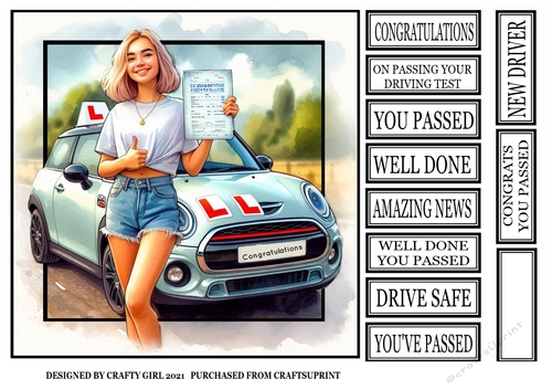 NEW DRIVER - FEMALE 2 - CUP1314217_22431 | Craftsuprint