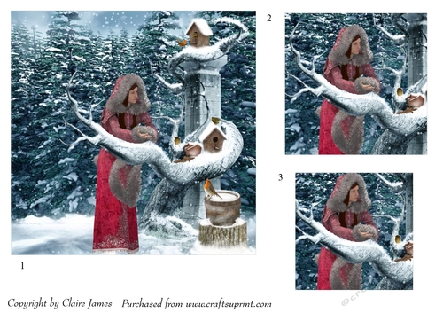 One Sheet Wonders - Feeding the Robin Family - Easy Cut - 3D Pyramid ...