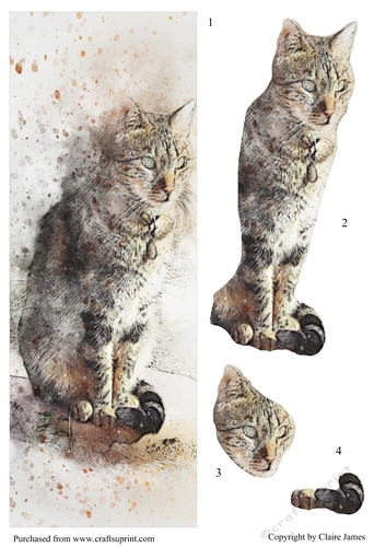 One Sheet Wonders - Water Colour Magic - Cat - Easy Cut - 3D Decoupage ...
