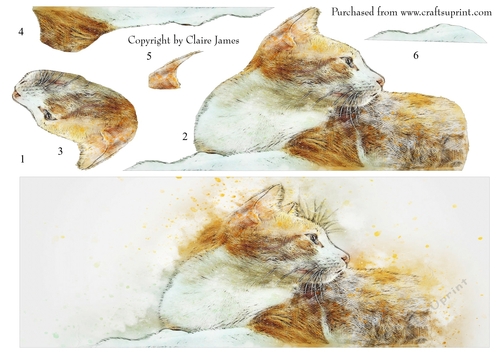 One Sheet Wonders - Ginger Cat - Easy Cut - 3D Decoupage - CUP1171976 ...