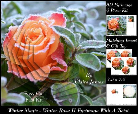 Winter Magic - Frosted Rose 2 Pyrimage with a Twist + Tag + - CUP651301 ...