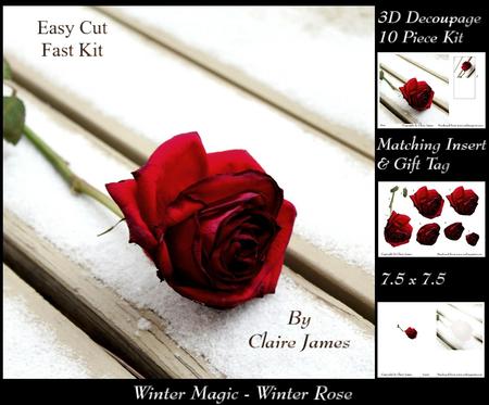 Winter Magic - Red Winter Rose + Insert & Tag - CUP651303_2236 ...