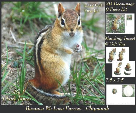 Because We Love Furries - Chipmunk + Insert & Tag - CUP658674_2236 ...