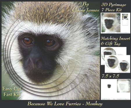Because We Love Furries - Cute Little Monkey + Insert & Tag - CUP660424 ...