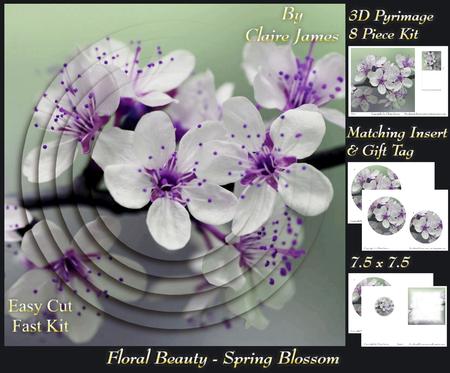 Floral Beauty - Spring Blossom + Insert & Tag - CUP674665_2236 ...