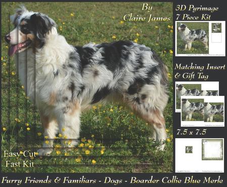 Furry Friends & Familiars-dog- Border Collie Blue Merle Tag+ ...