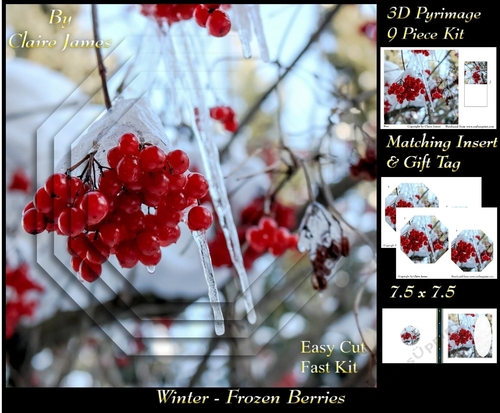 Winter - Frozen Berries - Pyrimage/pyramid + Insert & Tag - CUP761351 ...