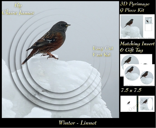Winter - Linnet - Pyrimage/pyramid + Insert & Tag - CUP763690_2236 ...