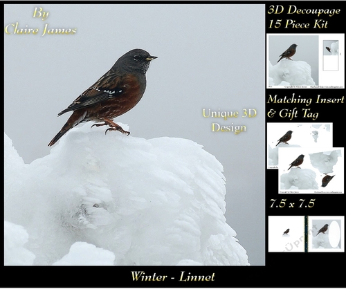 Winter - Linnet - Decoupage + Insert & Tag - CUP763691_2236 | Craftsuprint
