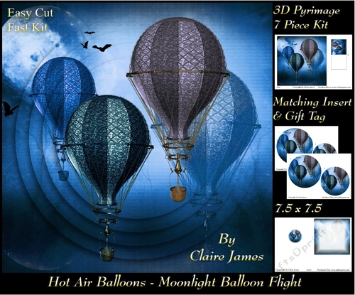 Hot Air Balloons - Moonlight Balloon Flight 2 - Pyrimage/Pyramid ...