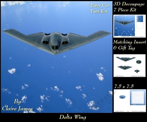 Planes - Delta Wing - 3D Decoupage + Insert & Tag - CUP786470_2236 ...