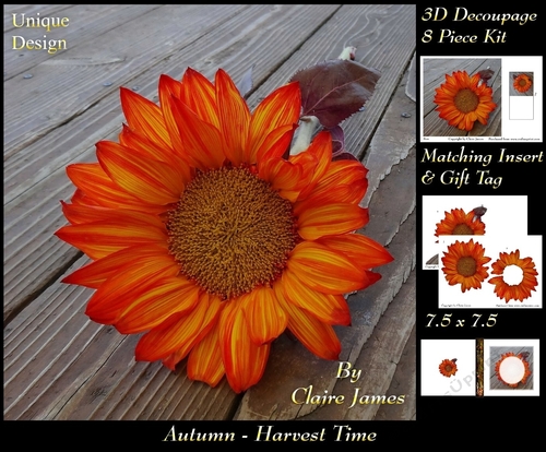 Autumn - Fall - Havest Time 3 - 3D Decoupage + Insert & Tag - CUP819077 ...