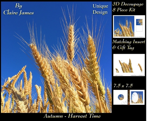 Autumn - Fall - Havest Time 4 - 3D Decoupage + Insert & Tag - CUP819083 ...