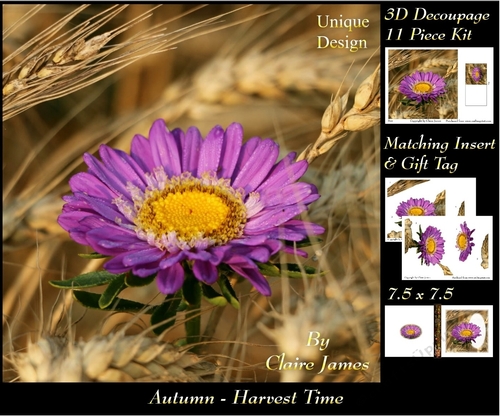 Autumn - Fall - Havest Time 5 - 3D Decoupage + Insert & Tag - CUP819085 ...