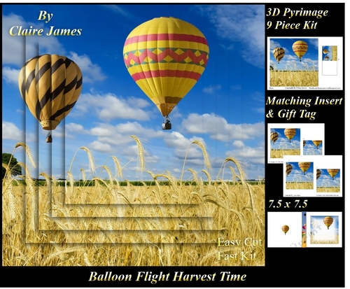 Hot Air Balloons - Balloon Flight Harvest Time - Pyrimage/Pyramid ...