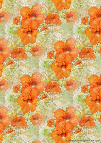 ORANGE NASTURTIUM BACKGROUND: A4 Multi-Directional Floral Patterned ...