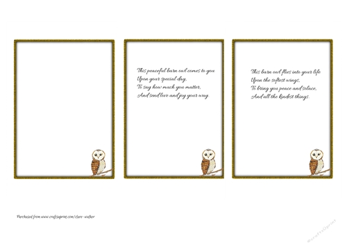 3 BARN OWL INSERTS: 1 Blank, 2 With Verse - CUP1349970_79993 | Craftsuprint