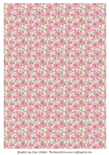 ROSE BACKGROUND-Floral Pink Rose Background Paper with Commercial Use ...