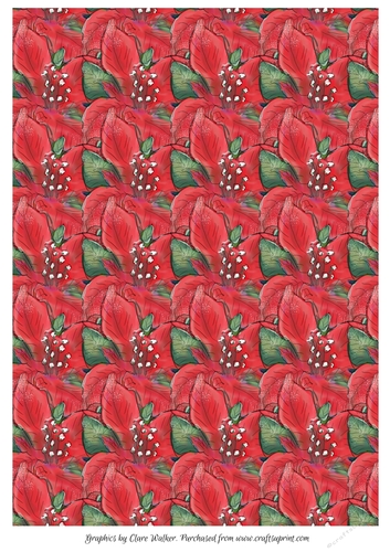 CHRISTMAS POINSETTIA: A4 Background/Backing Paper, With Commercial Use ...