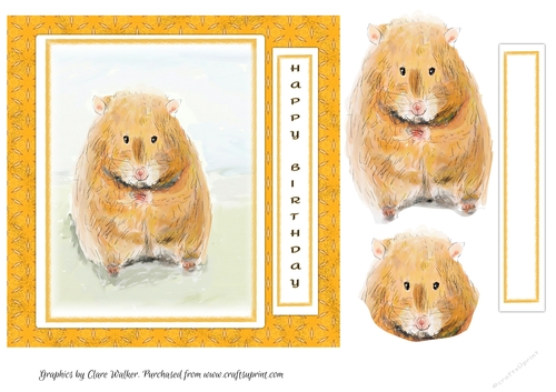 HAMSTER BIRTHDAY CARD: 7x7, With Hamster Decoupage,Extra Blank ...