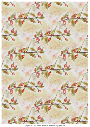 BERRY BACKGROUND/BACKING PAPER: A4 with Commercial Use - CUP918222 ...