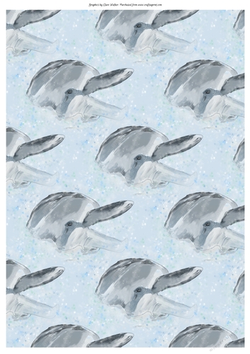 DOLPHIN BACKGROUND: A4 Dolphin Background/Backing Paper, with ...