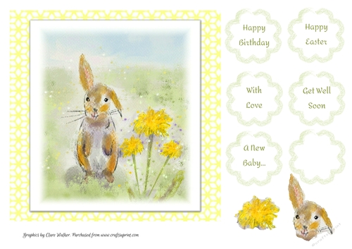HAPPY BUNNY RABBIT: 7x7 Birthday/Easter/Occasion Quick Card With Easy ...